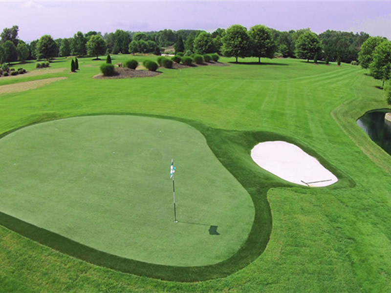 UNI Artificial Grass Put Pro 13MM - Unigrass